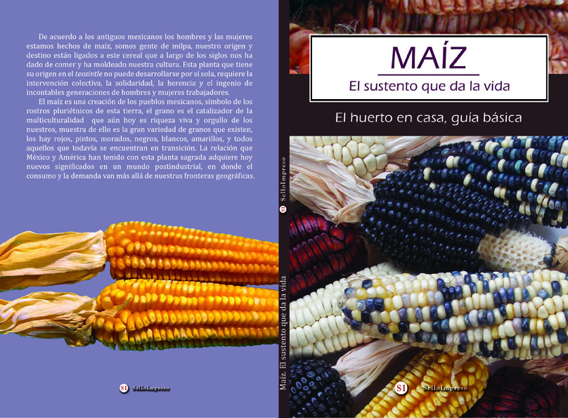 La historia del MAÍZ en MÉXICO: CULTIVO y CULTURA