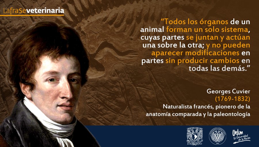Cuvier: PIONERO en PALEONTOLOGÍA y ANATOMÍA ¿Quién fue?